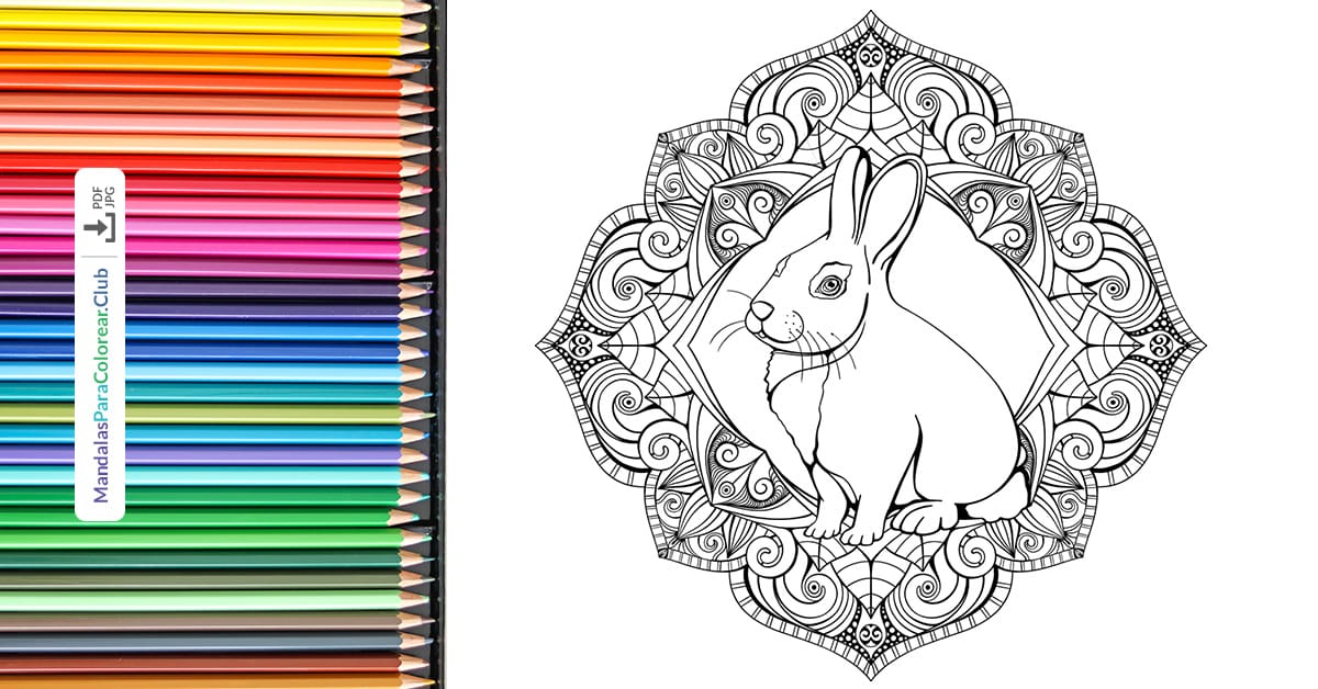 → Mandala de Conejo gratis para imprimir en JPG PNG PDF